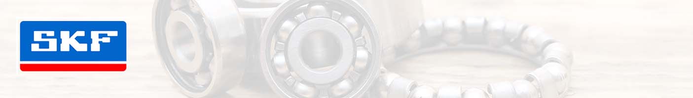 Home [worldbearingshop.com]