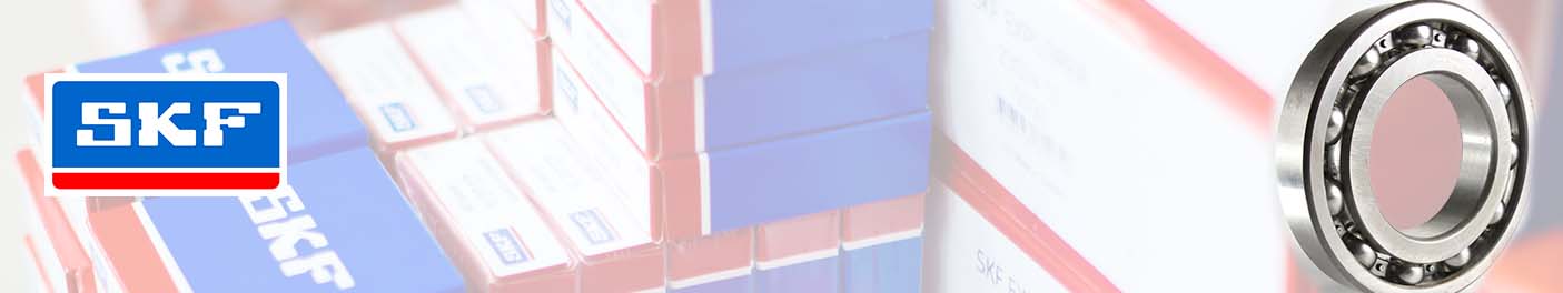 Home [worldbearingshop.com]